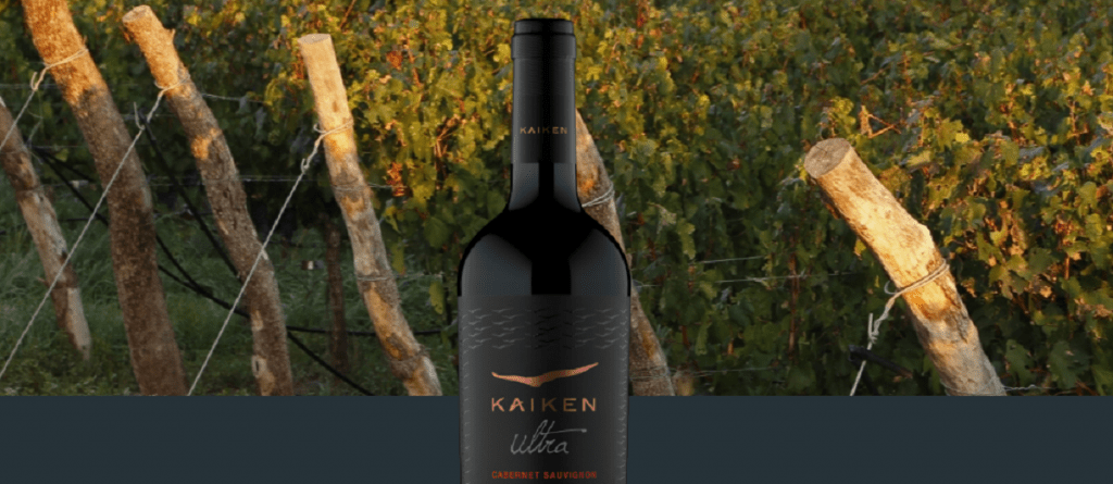 Kaiken, la bodega mendocina que apostó por la evolución del cabernet ...