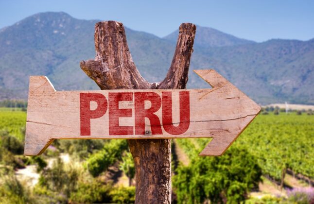 ¿Cómo es el vino de Perú? - El Malbec