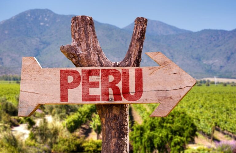 ¿Cómo es el vino de Perú? - El Malbec